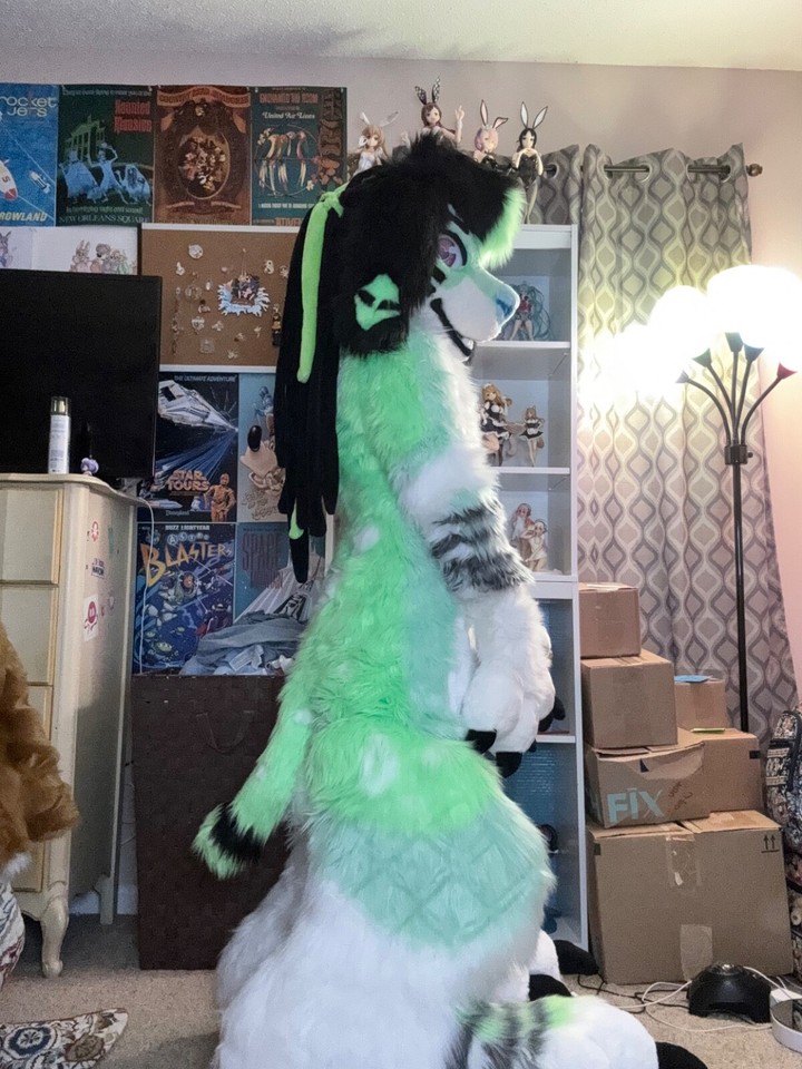 Alien puppy dog full digitigrade fursuit + extras | eBay