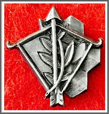 israel army idf Ground Forces Digital Army Control plan lapel pin badge ...