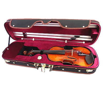 NEW VC950RB 4/4 Pro Enhaced Wooden Violin Case-I + free violin string ...