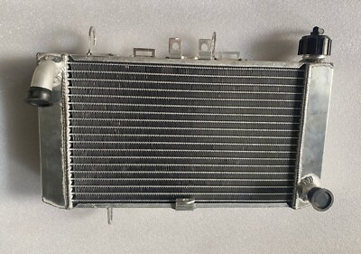 6AQV-181100-1000 Radiator Fit CF MOTO 450 SR CF400-6/CF400-9 2022-2024 ...