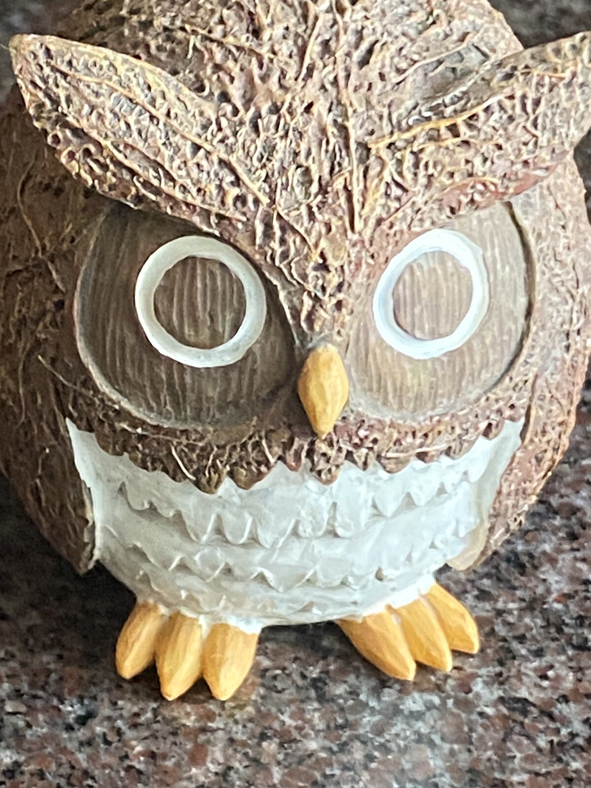 2010 Enesco Home Grown Coconut Owl Figurine #4022978 | eBay