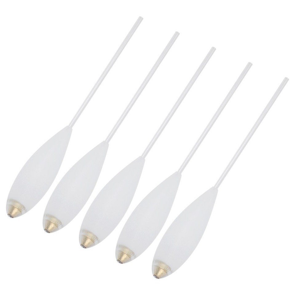 (15 G)5Pcs Acrylic Large Floats Slow Sinking Fishing Accessories| | eBay UK