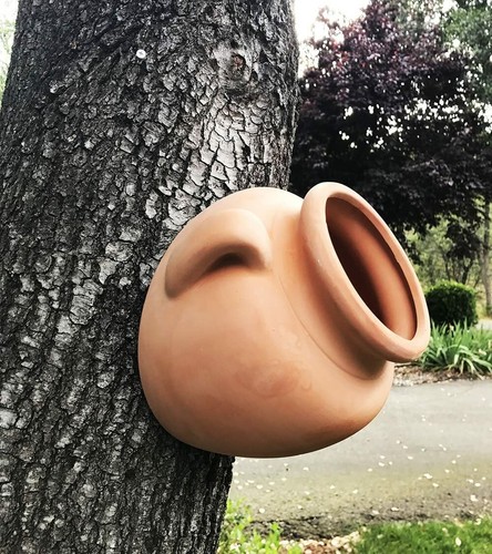Natural Terracotta Fallen Pot or Hanging Pot with Loops Handles. 2 ...