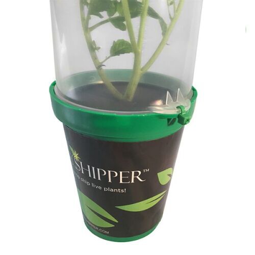 Clone Shipper Container w/ LED Light for Shipping Young Plants Cuttings ...