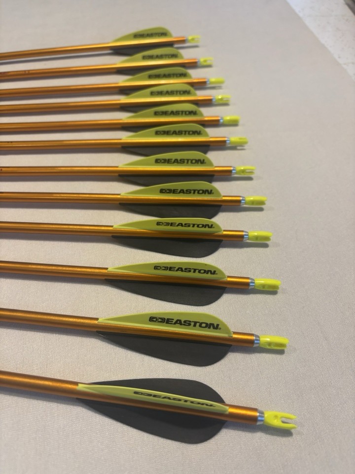 Dozen 12 Easton Genesis 1820 Arrows NASP | eBay