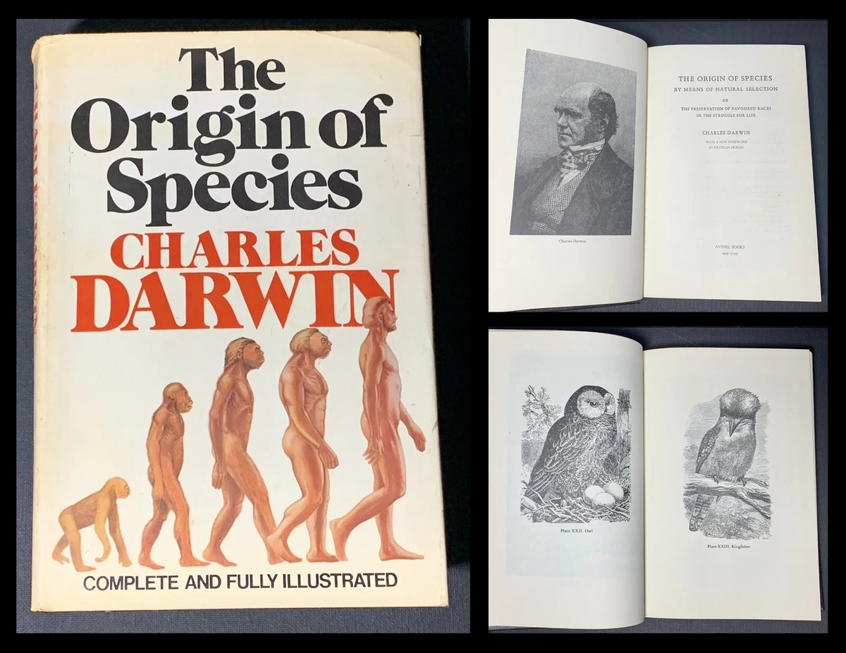 Charles Darwin Origin Of Species First Edition
