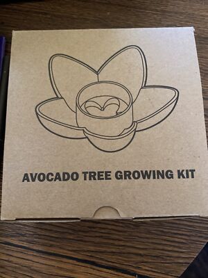 avocado tree growing kit | eBay