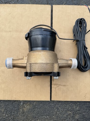 Water Meter 3/4 Inch (TESTED) Neptune T-10 - Irrigation/Domestic | eBay