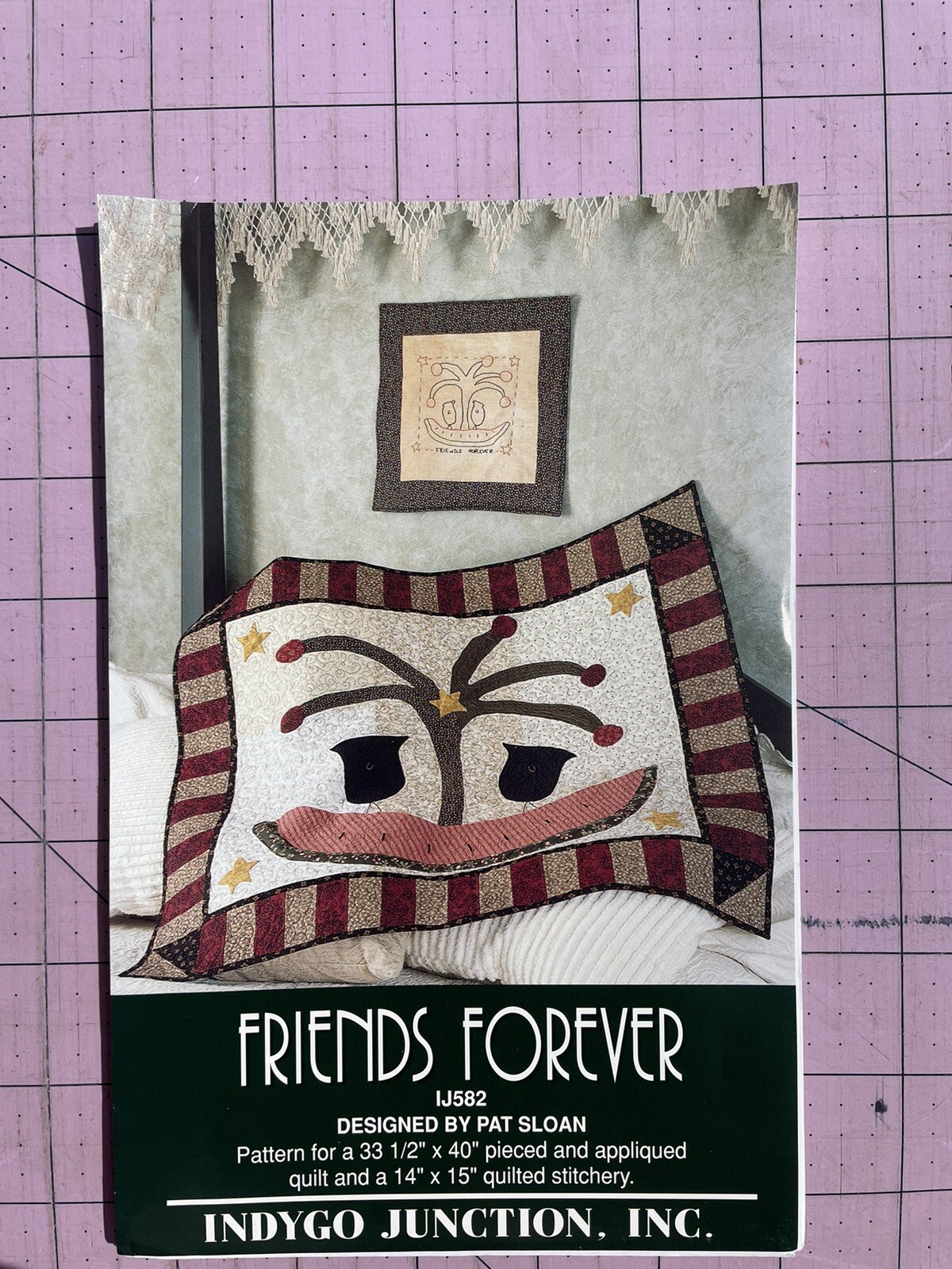 Indigo Junction Friends Forever Pattern By Pat Sloan IJ582 Wall Quilt ...