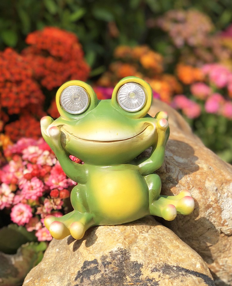 Solar Powered Frog Outdoor LED Garden Light Decor (Hear - NO) | eBay