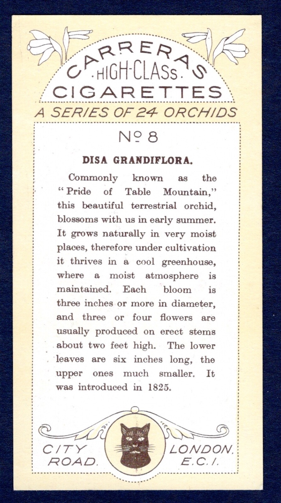 ORCHIDS - Disa Grandiflora - Carreras Postcard Size Cigarette Card # 8 ...