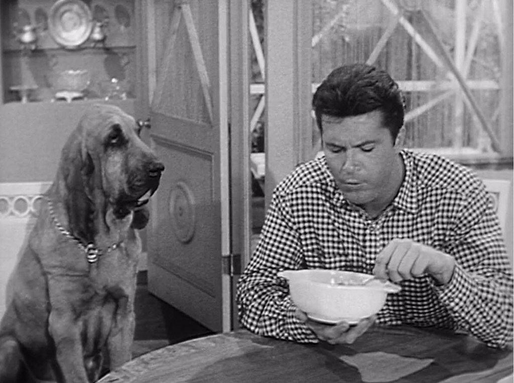 Beverly Hillbillies Jethro