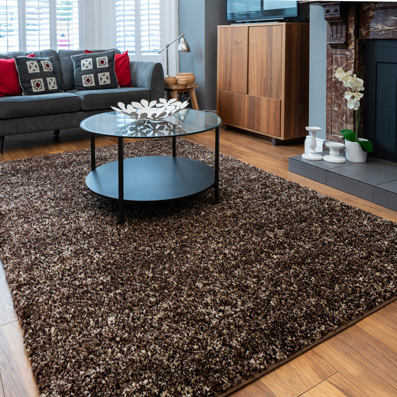 Brown Rug Living Room Ideas | Cabinets Matttroy