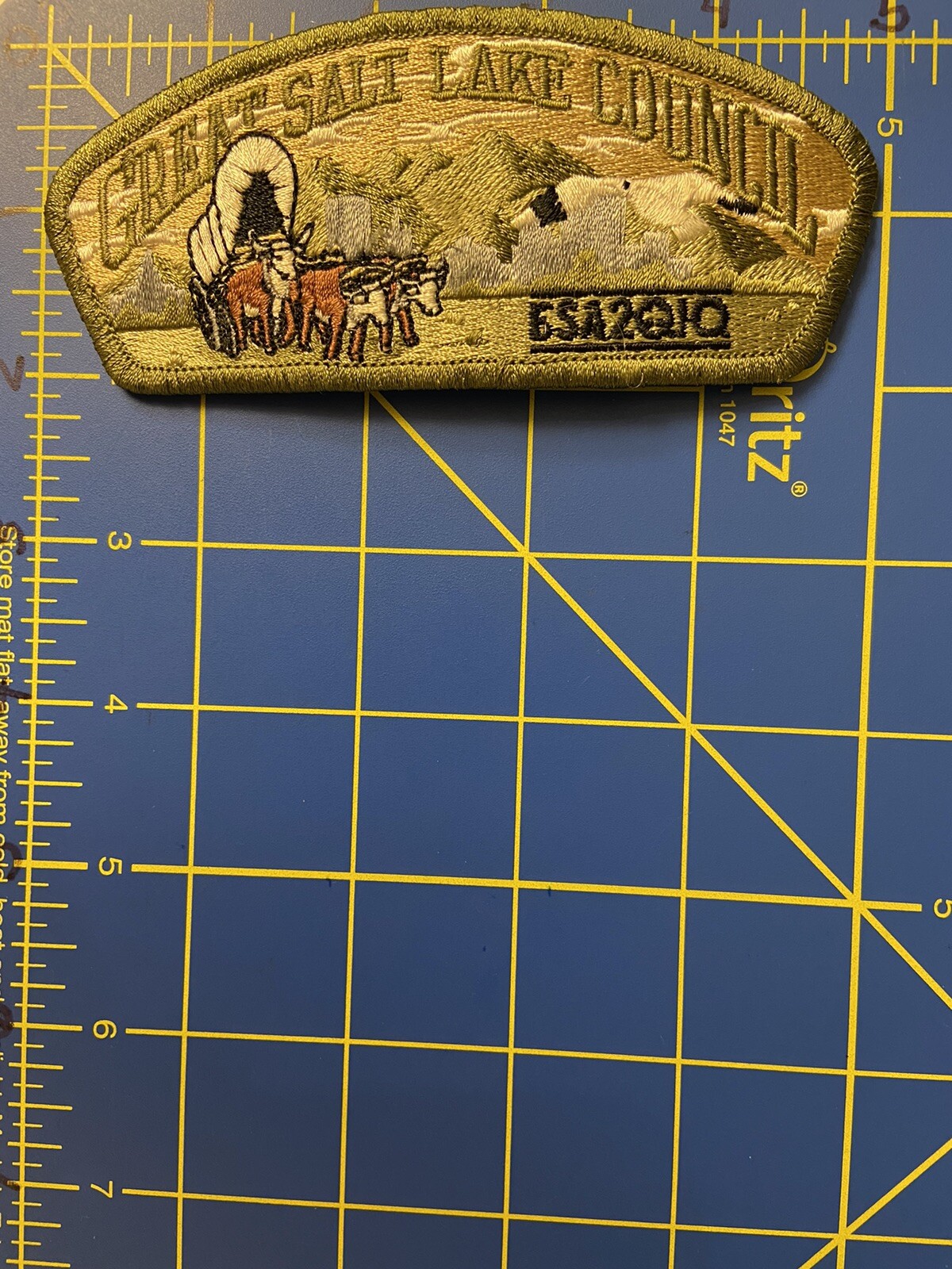 Grand Sel Lac Conseil Gslc Patch Épaule BSA 2010 Boy Scouts Amérique ...