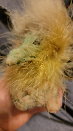 Drabbit Baby Shoulder Cable Puppet by Albert Alfaro - ANNIVERSARY ...