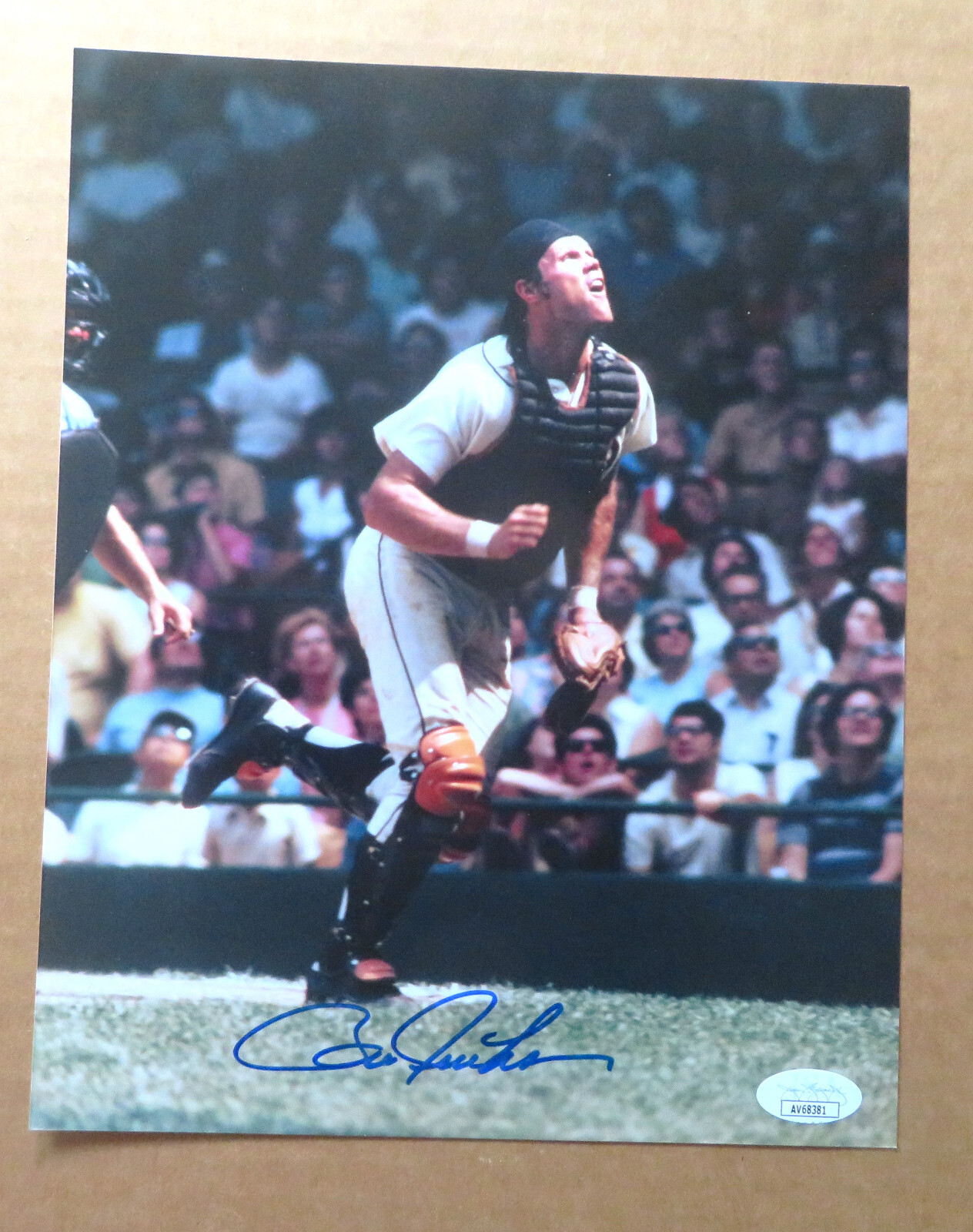 Detroit Tigers Bill Freehan (D) signed color 8 x 10 Action Photo - JSA ...