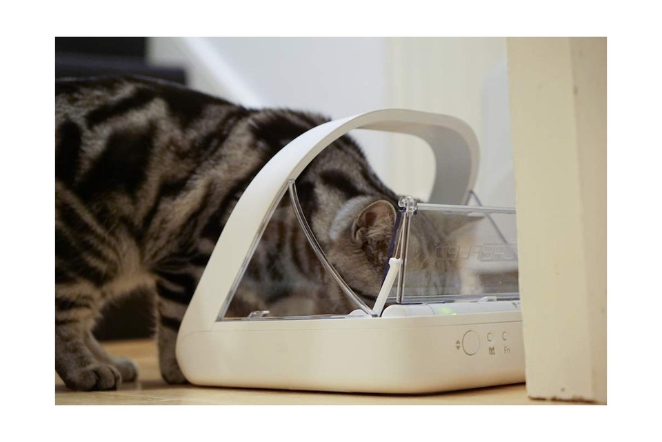 Sure Petcare -SureFlap - SureFeed - Microchip Pet Feeder - Selective ...
