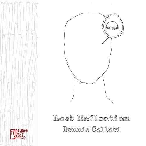 Dennis Callaci Lost Reflection (Poche) 9781947240681 | eBay