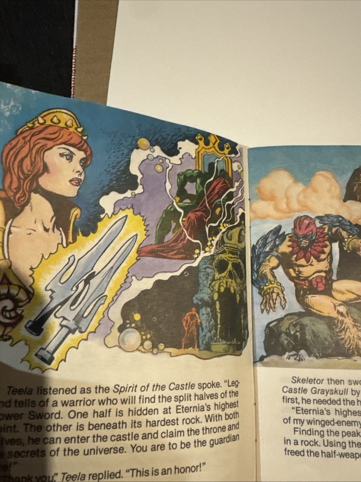 Master of the Universe 1981 Mattel Mini Book King of Castle Grayskull ...