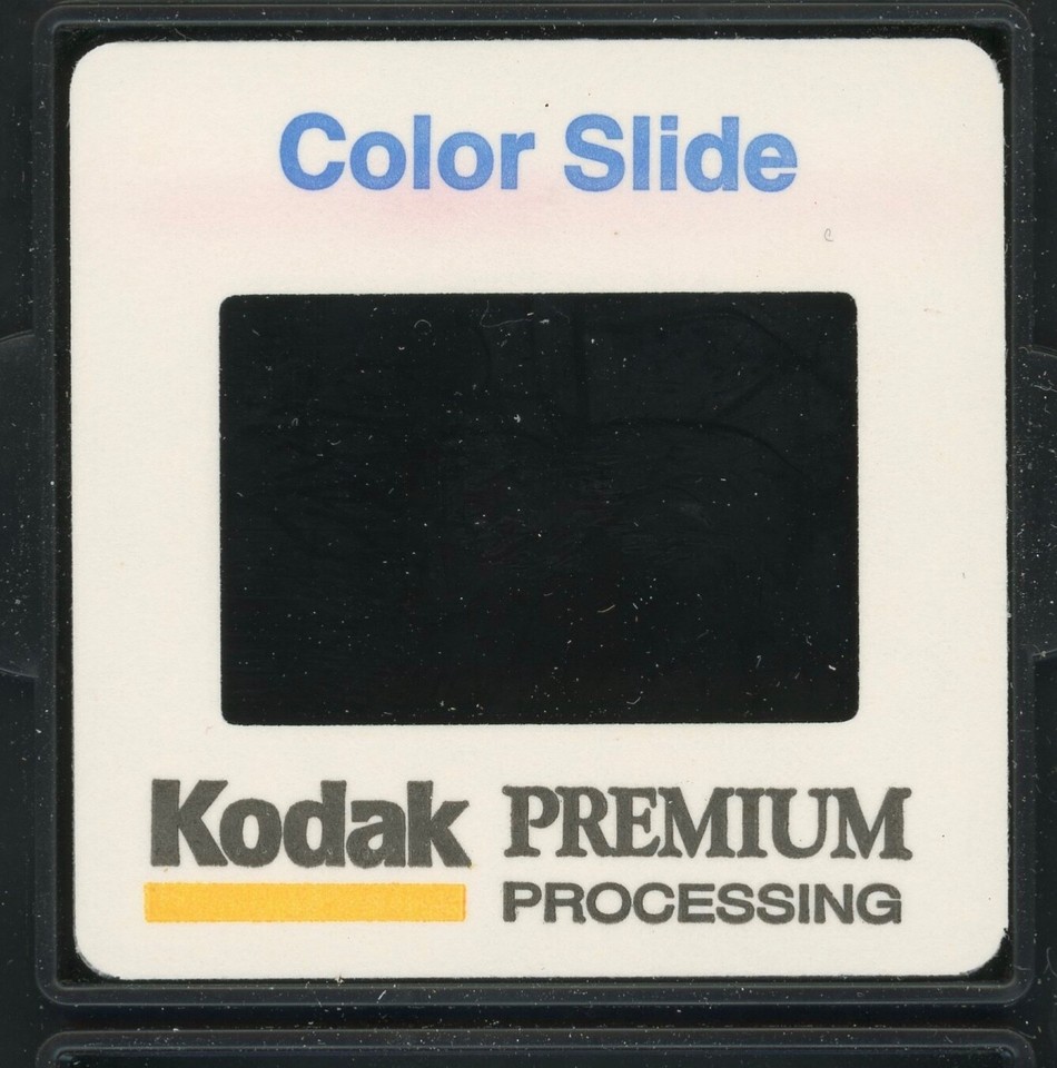 5 Vtg Original Bogart’s African Queen Boat Key Largo FL 35mm Slides | eBay