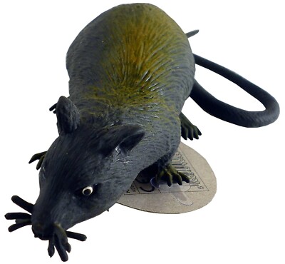 13cm Rubber Stretchy Rat With Long Tail - Halloween - Novelty Toys | eBay