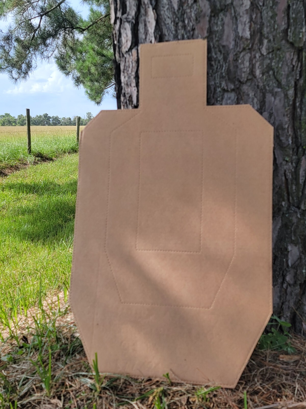 Official USPSA Cardboard Targets, Competition Torso Target | eBay