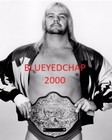 BARRY WINDHAM WRESTLER 8 X 10 WRESTLING PHOTO WCW WWF | eBay