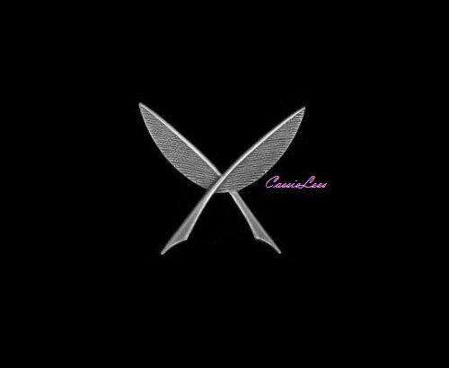 US Navy YN Yeoman + a custom promo pin | eBay