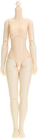Obitsu 22cm Obitsu Body Bust SizeM Whitey 22BD-F01W-M | eBay