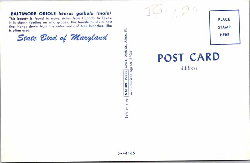 Postcard ANIMAL SCENE State Of Maryland MD o/19 AL9738 | eBay UK