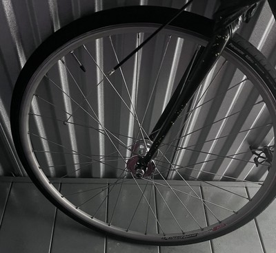 Wheels & Wheelsets - Alex Rims - Nelo's Cycles