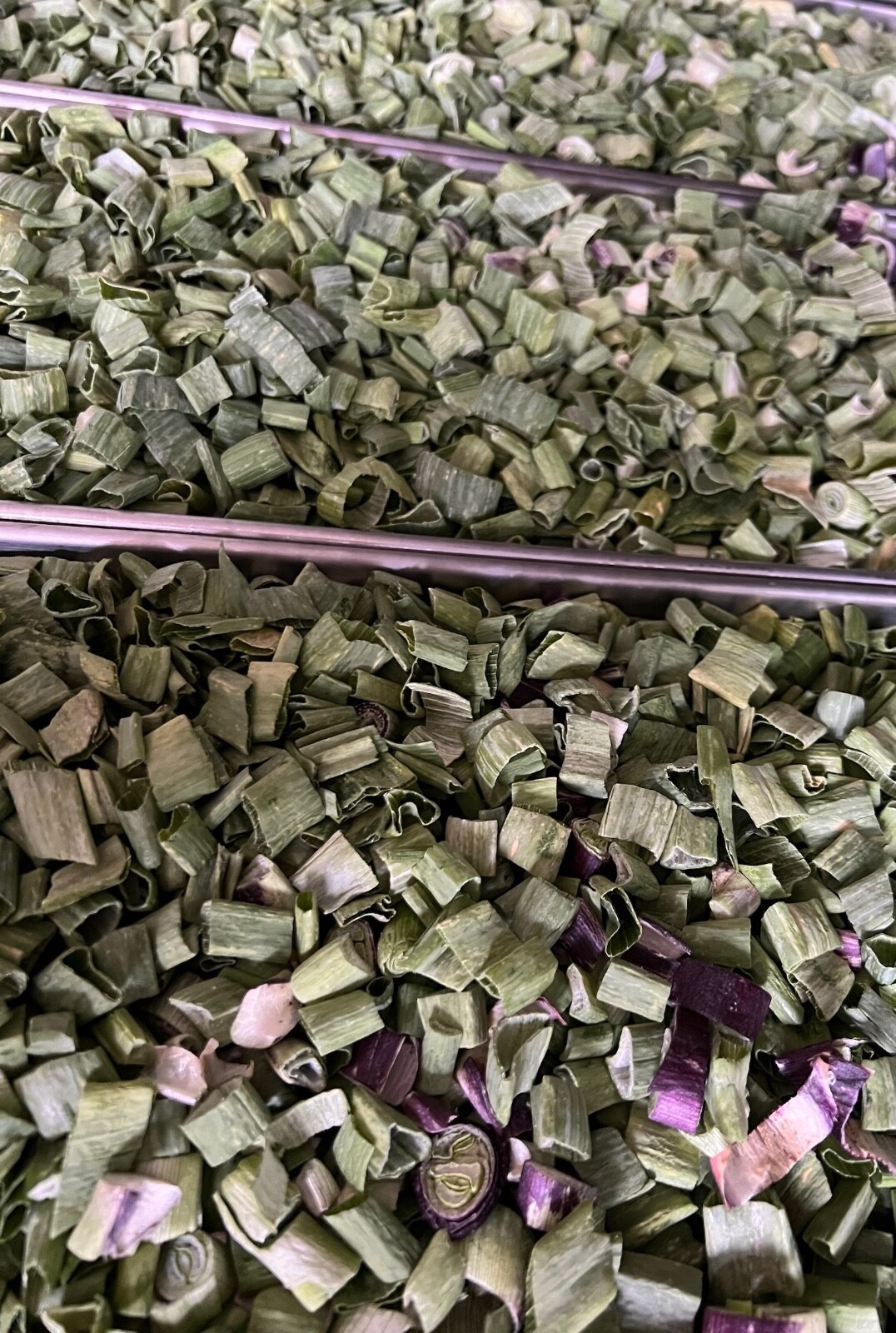 Dried scallions Organic onions Dried green onion | eBay