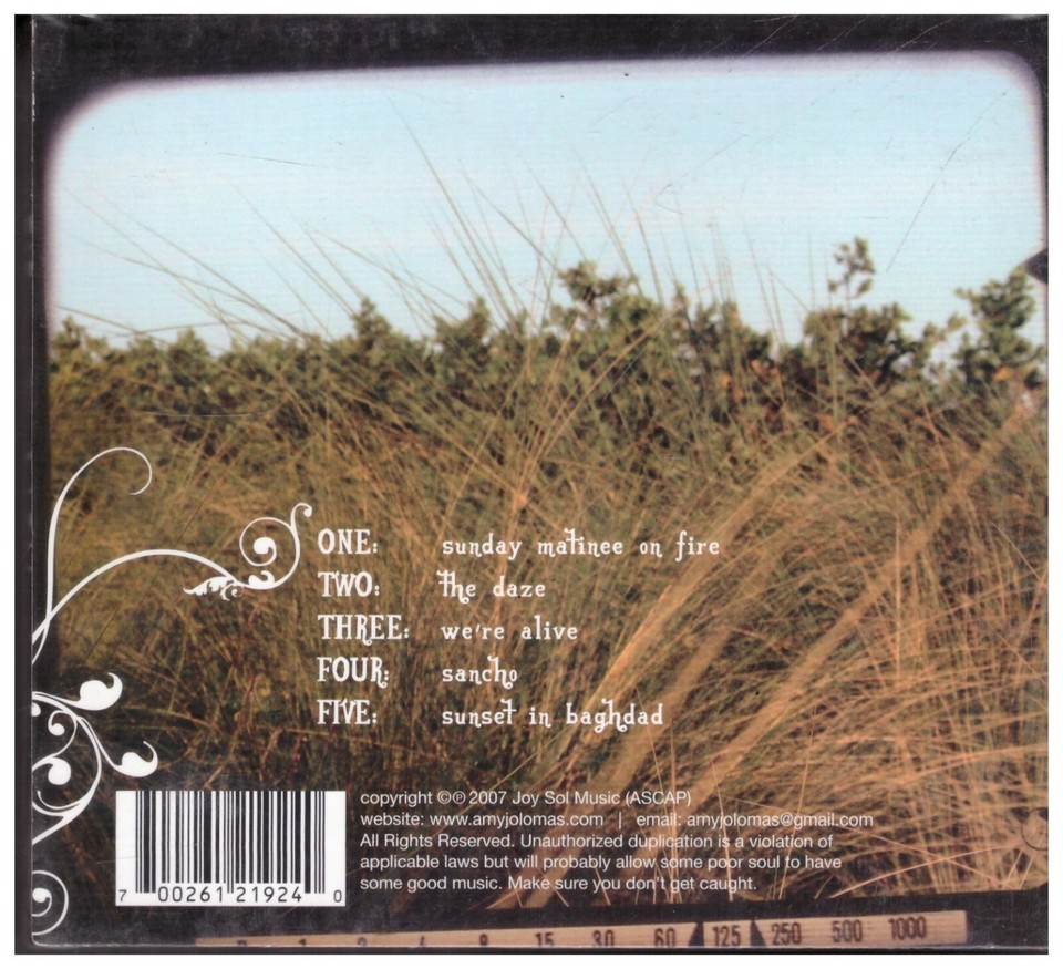 Amy jo Lomas - Sunday Matinee On Fire [CD] 2007 Joy Sol Music | eBay