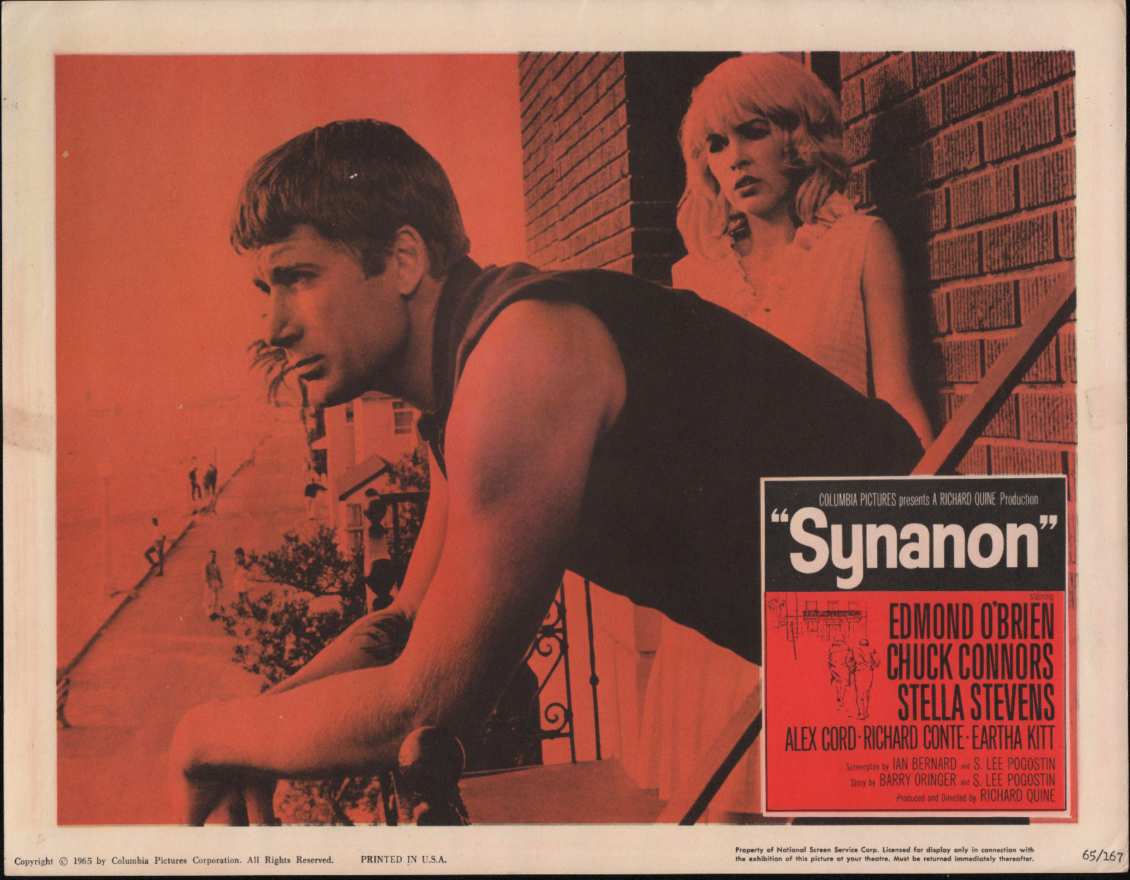 SYNANON original 1965 lobby card ALEX CORD/STELLA STEVENS 11x14 movie ...