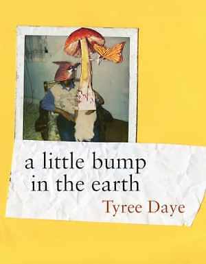 a little bump in the earth - Paperback, by Daye Tyree - Very Good ...