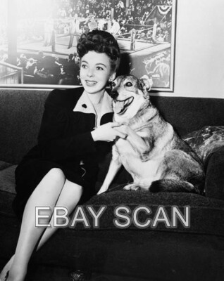 IDA LUPINO AT HOME WITH HER DOG CUTE 8X10 PHOTO 300 | eBay