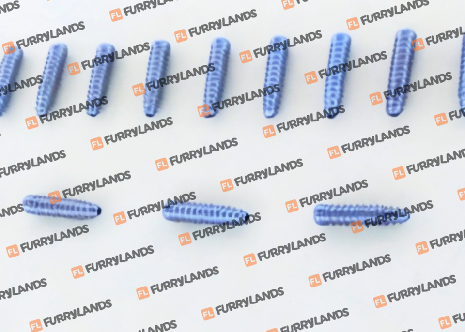 ACL Interference Screw Set 7mm Dia, 25mm & 30mm Length with Screwdriver ...