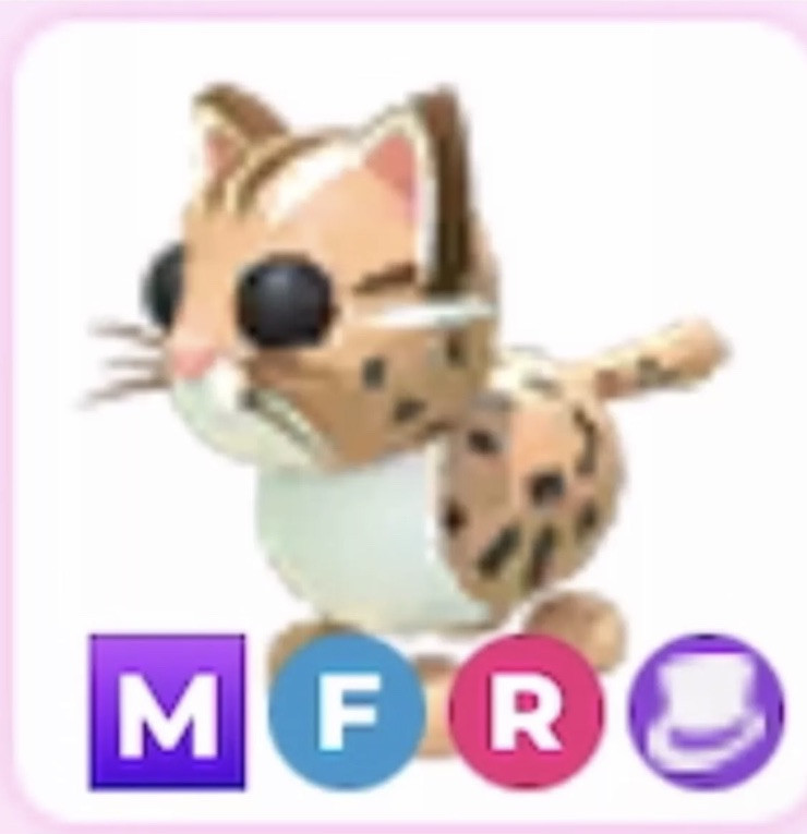Adopt A Pet from Me - MFR Leopard Cat -Fast Delivery- Mega Neon Fly ...