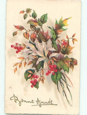 Very Old Foreign Postcard BEAUTIFUL FLOWERS SCENE : make an offer ...