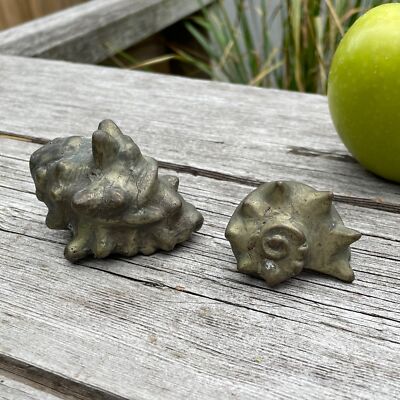 Set of 2 Vintage 2.5" & 2" Patina Brass Solid Cast Conch & Snai Shell ...