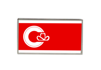 Calgary (Canada) Flag Lapel Pin Badge | eBay UK