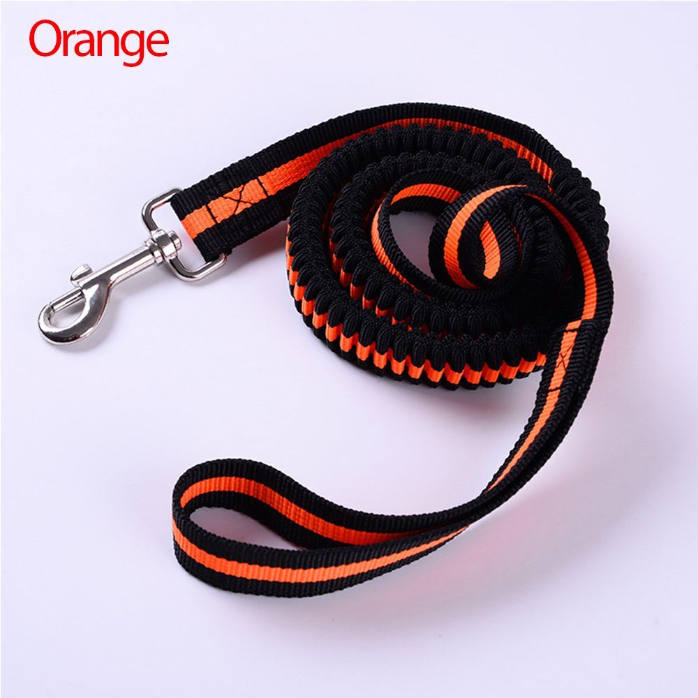 Dogs Cats Flexible Walking Training Elastic Dog Leash Pet Leads ...