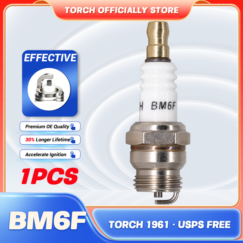 NGK BM6F - Alternative spark plugs