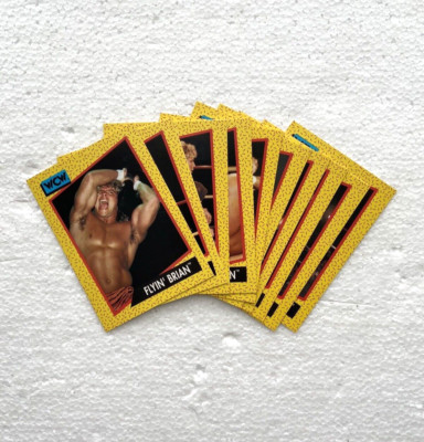 1991 Impel WCW Wrestling | Flyin' Brian Pillman Lot of (10) Cards | eBay