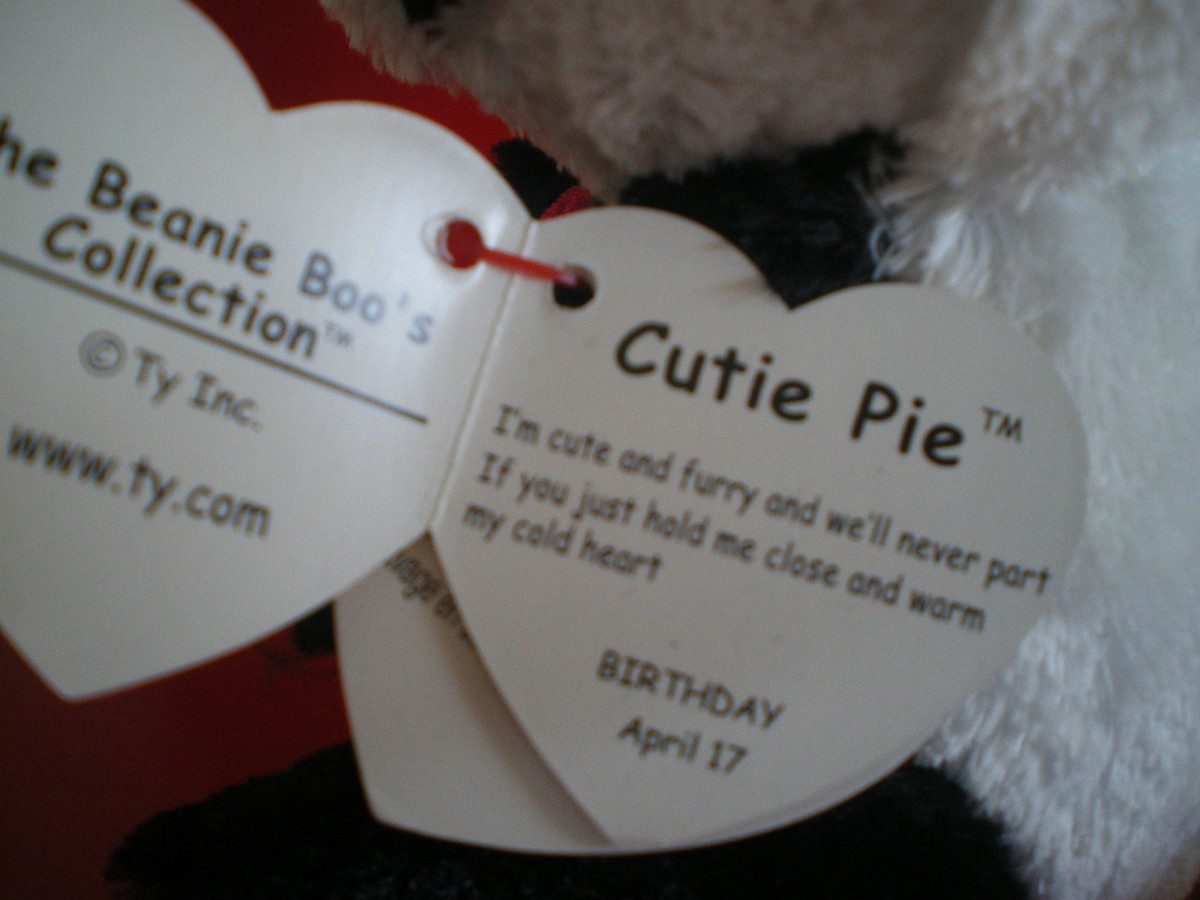 Bebé Panda De Pie Baby Pandas Make Their Big Zoo Debut « Euro Weekly