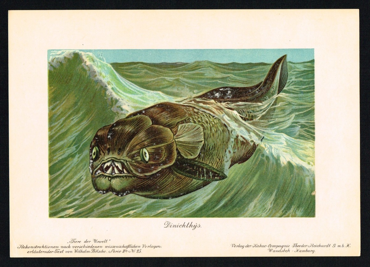 Devonian Fish