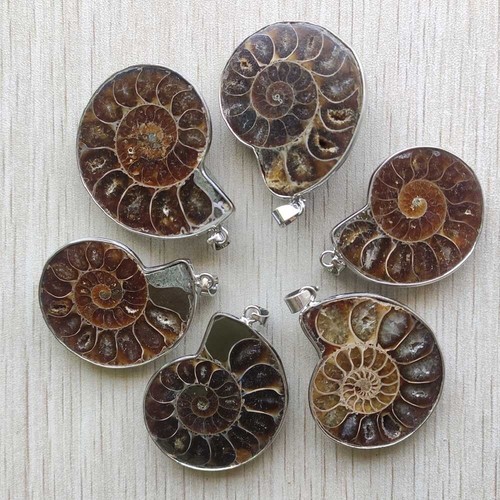 Natural Ammonite Snail Shell Healing Stone Pendants for Necklaces ...