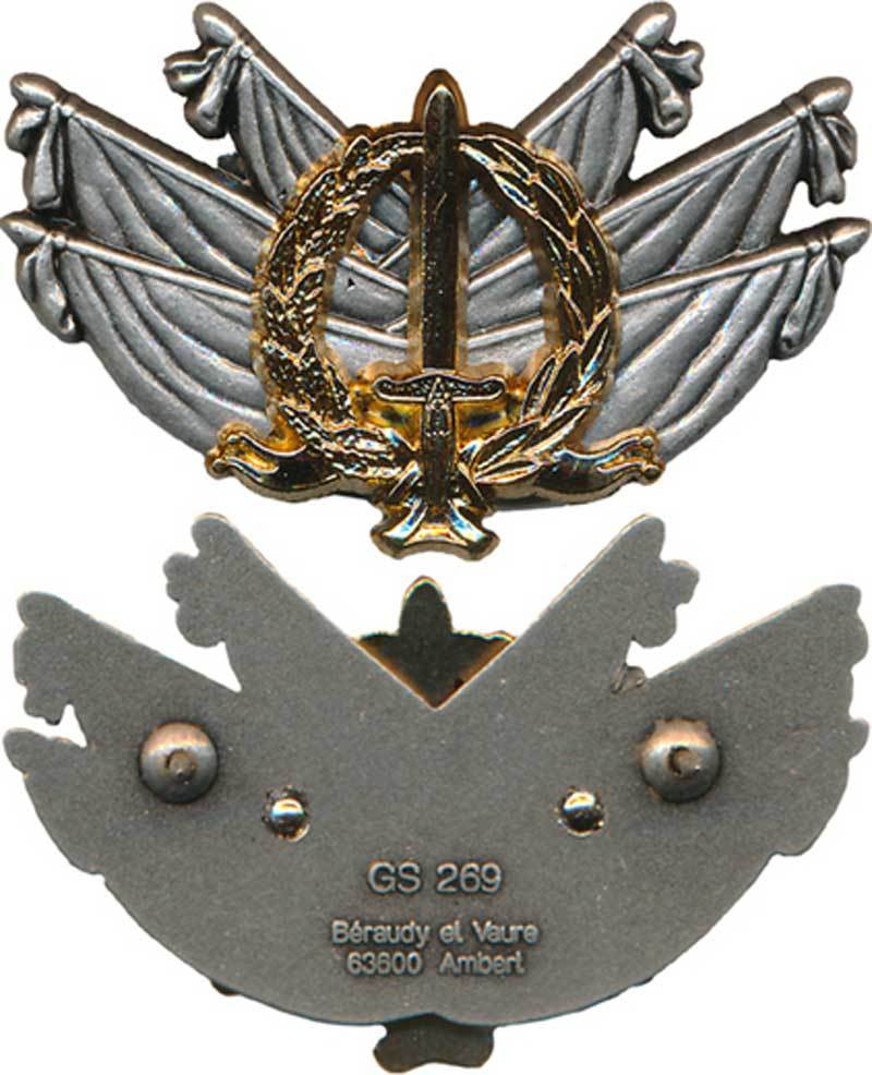 Commissaire insigne ancrage TERRE niveau 2, attache PIN’S, Beraudy GS ...