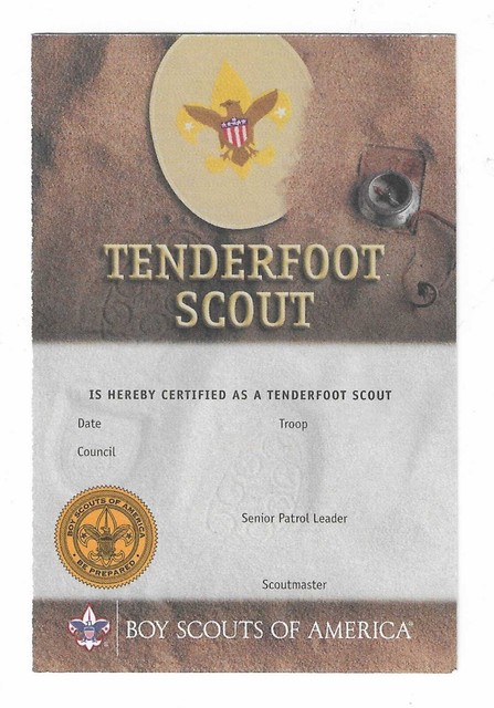 BSA Tenderfoot Rank Badge Patch Boy Scouts for sale online | eBay