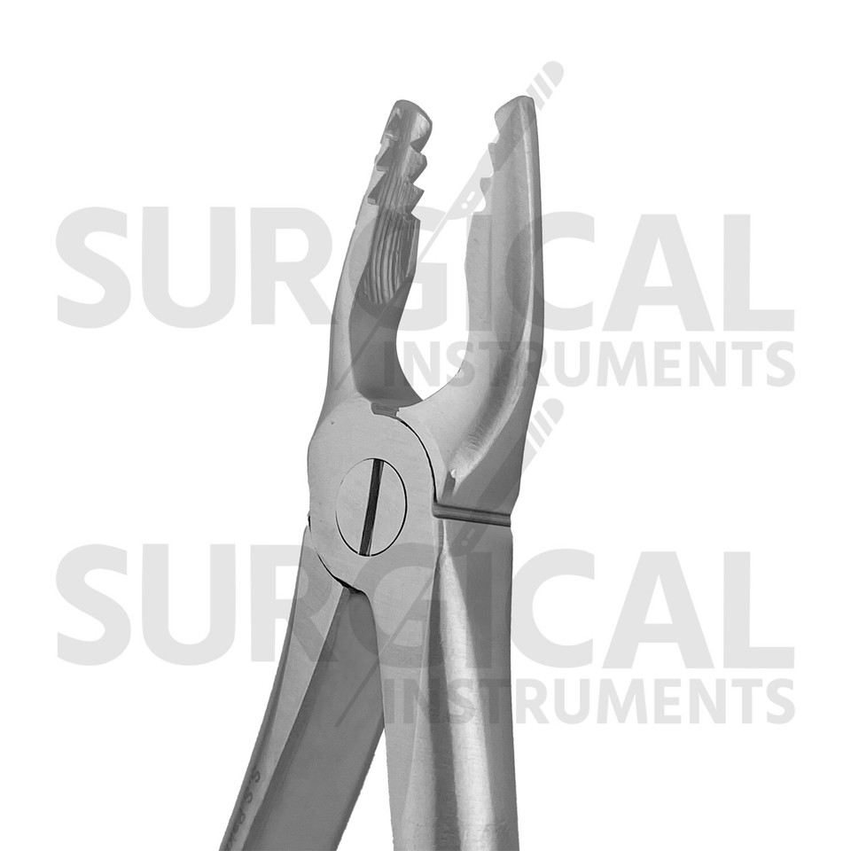 Heavy Duty Extraction Forceps #34M - Gold Hollow Python Grip German ...